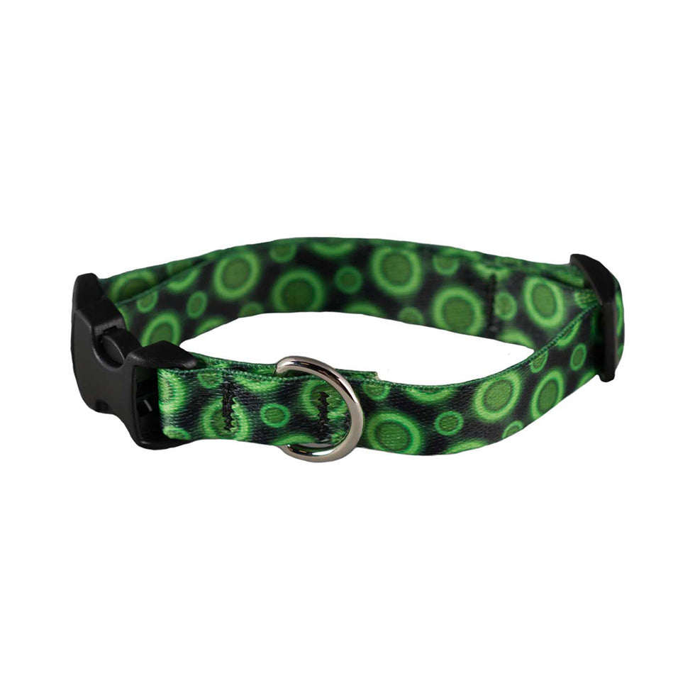 Cycle Dog Ecoweave Collar | Durable Sustainable | Organic Pet Boutique